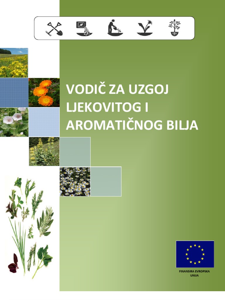 Vodic Za Uzgajanje Ljekovitog I Aromaticnog Bilja | PDF