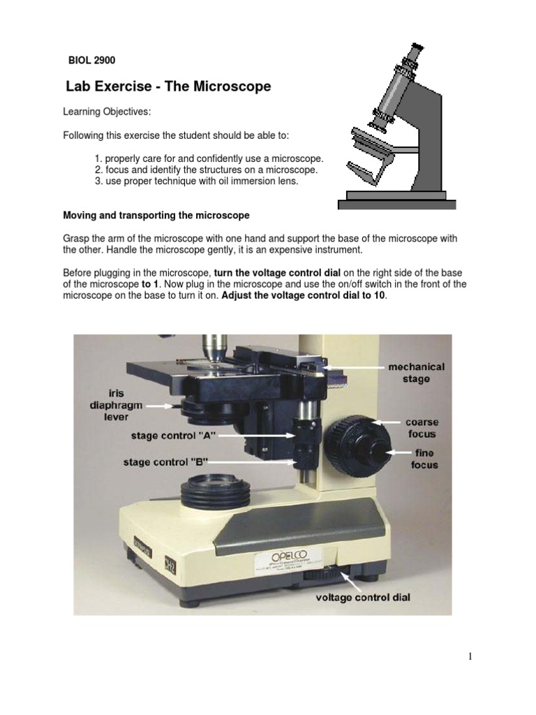 MICROSCOPE | PDF