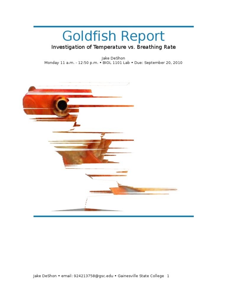 Gold Fish Report | Breathing | Fish