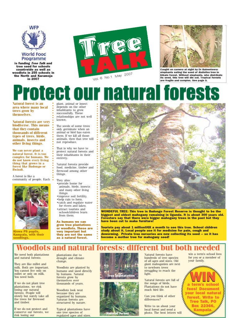 Tree Talk, May 2007 | PDF | Trees | Plant Nursery