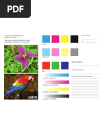 Teste de Impressão e Cores CMYK | PDF