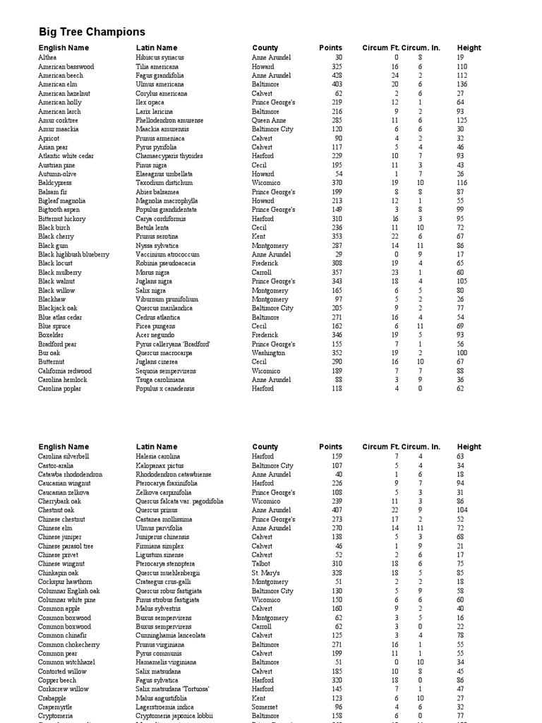Big Tree List | PDF