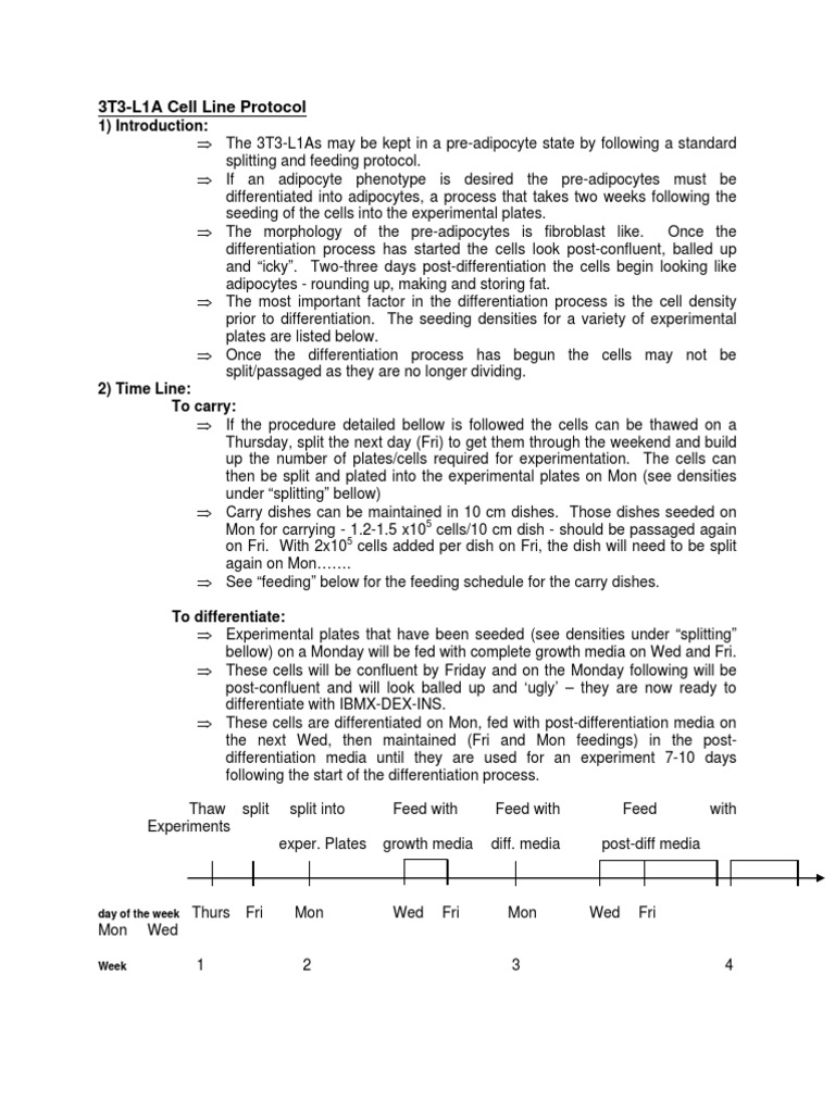 3T3-L1A Cell Line Protocol: 1) Introduction | PDF | Growth Medium ...
