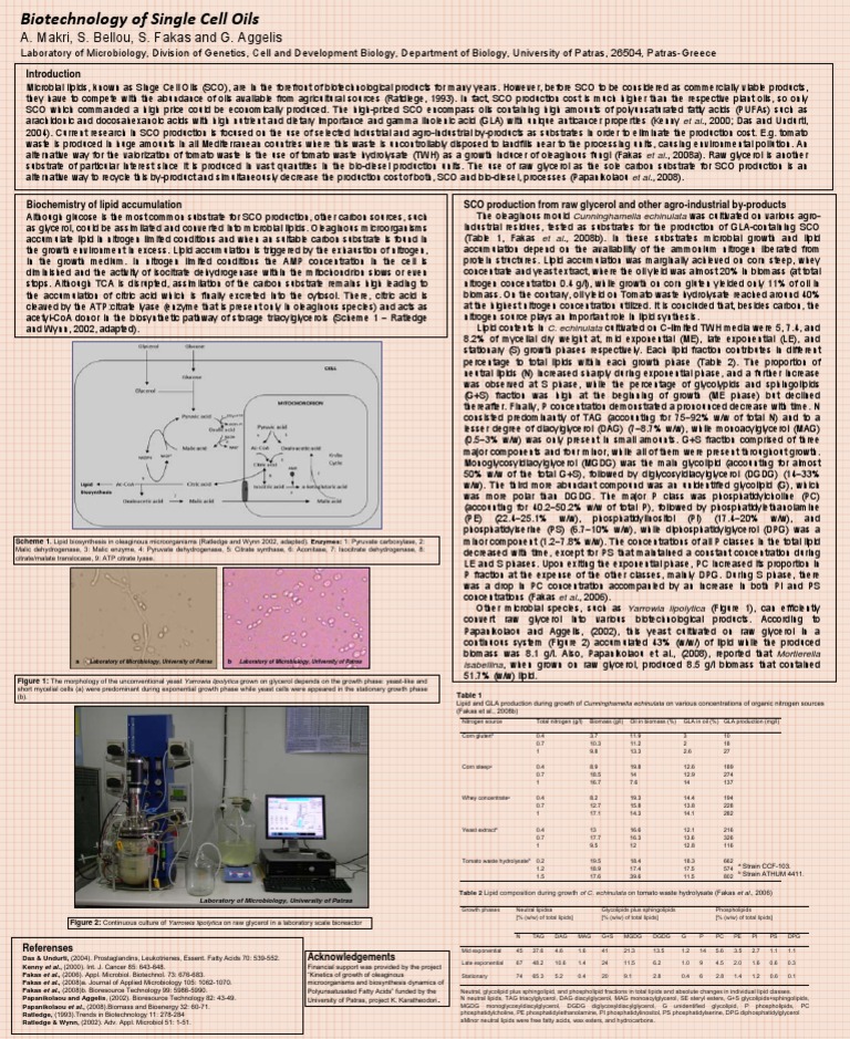 Biotech of Single Cell Oil | PDF | Lipid | Cell Biology