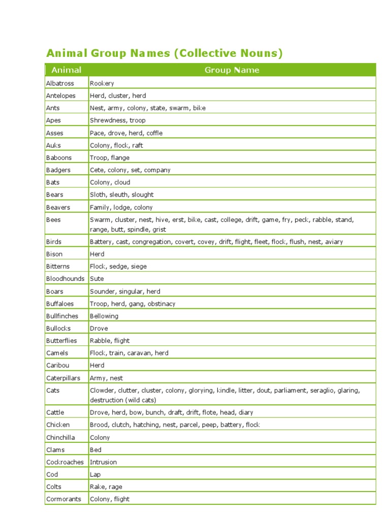 Animal Group Names | PDF | Cattle | Nature