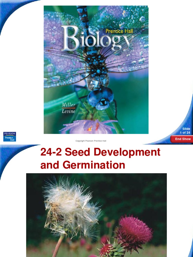 Chapter24 Section02 Edit | PDF | Seed | Germination