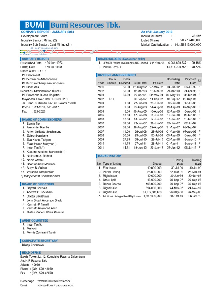 Bumi Resources Company Report January 2013 | PDF