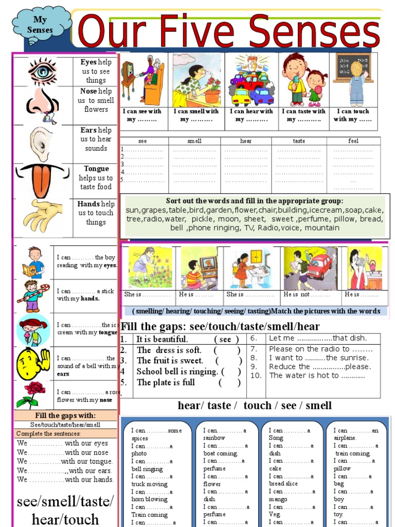 Five Senses Worksheet | PDF | Taste | Senses