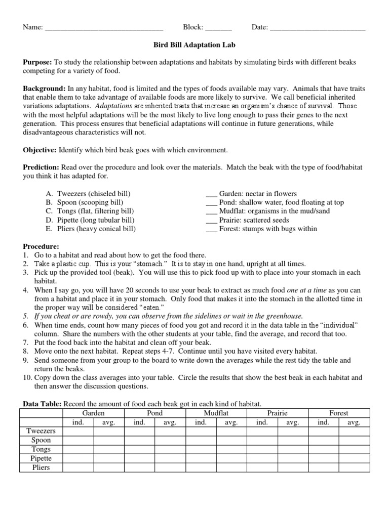 Bird Beak Lab | PDF | Adaptation | Habitat