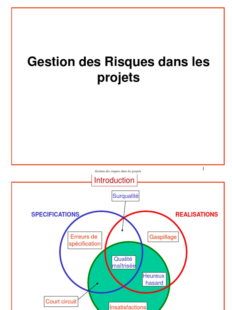 Maîtriser les Risques de Projet | PDF | Risque | Gestion des risques