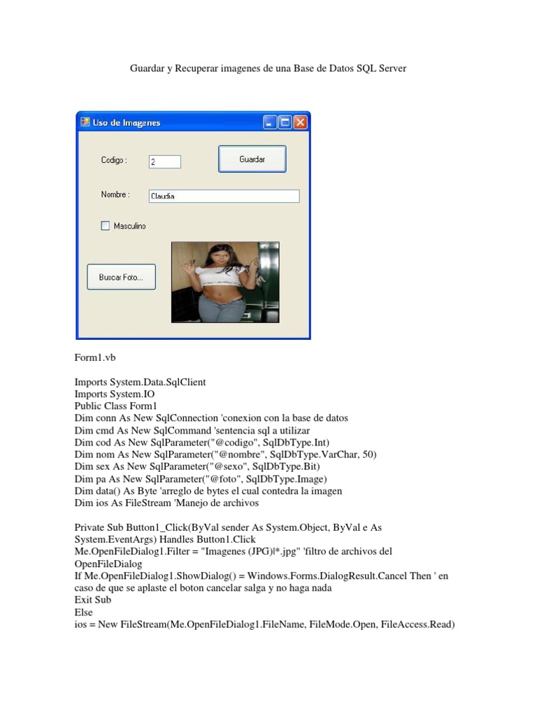 Guardar y Recuperar Imagenes de Una Base de Datos SQL Server | PDF | Ingeniería Informática ...