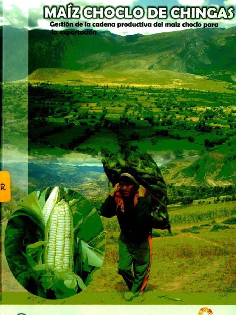 PDF de Choclo Serrano | PDF | Maíz | Agricultura