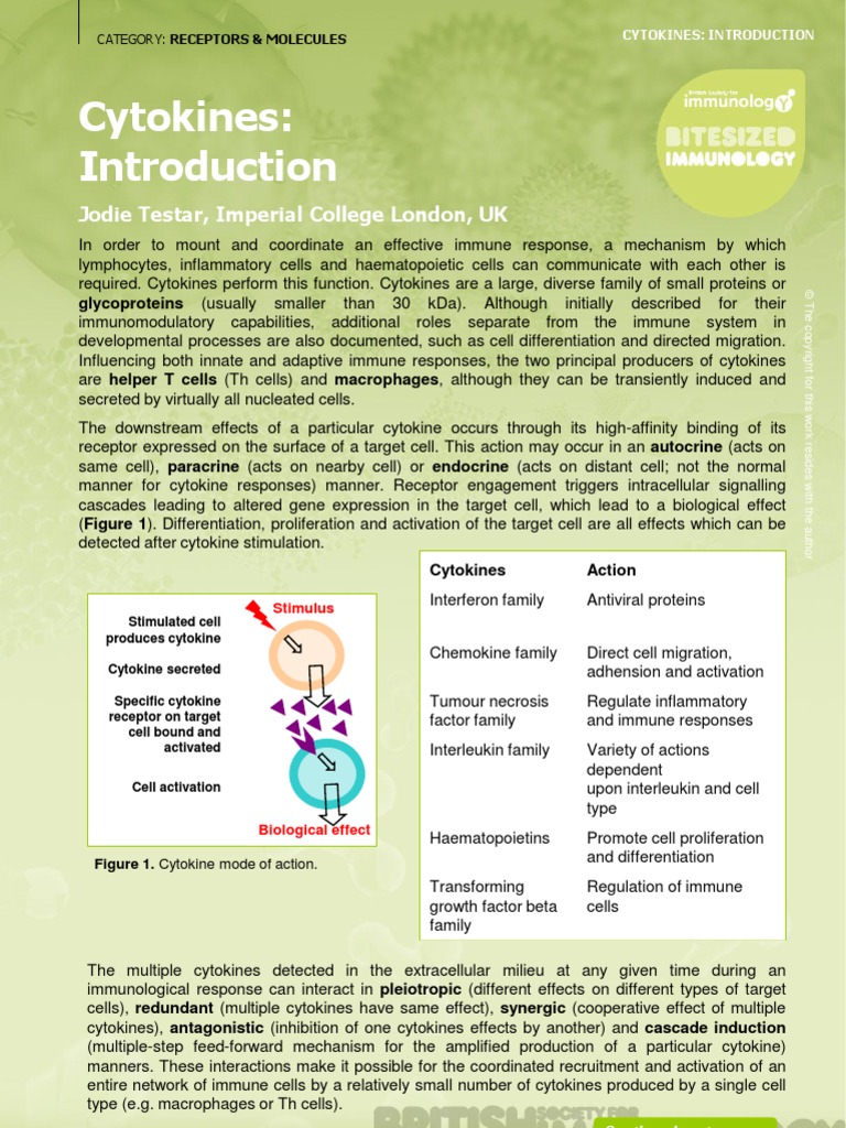 Cytokines | PDF | Cytokine | Adaptive Immune System