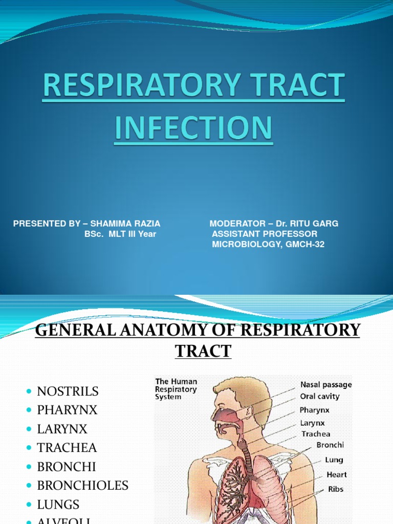 Anatomy and Types of Respiratory Tract Infections | PDF | Respiratory ...