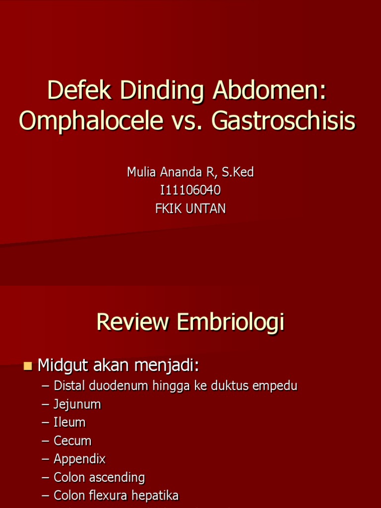 Gastroskisis Dan Omfalokel | PDF