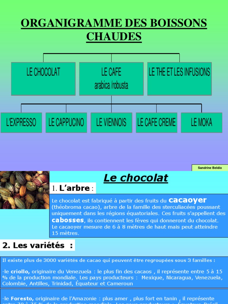Organigramme des boissons chaudes | PDF | Café | Thé