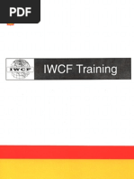 IWCF Formula Sheet | PDF | Energy Technology | Applied And ...