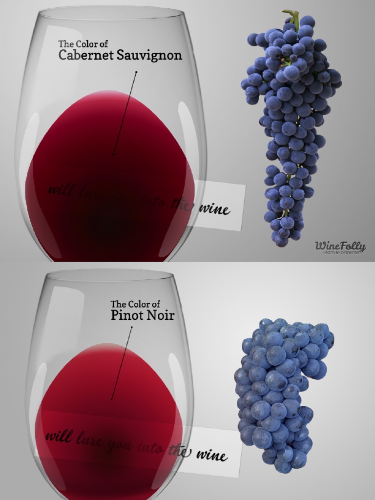 Diferencia de Color en Cepas Tintas | PDF | Vino | Uva