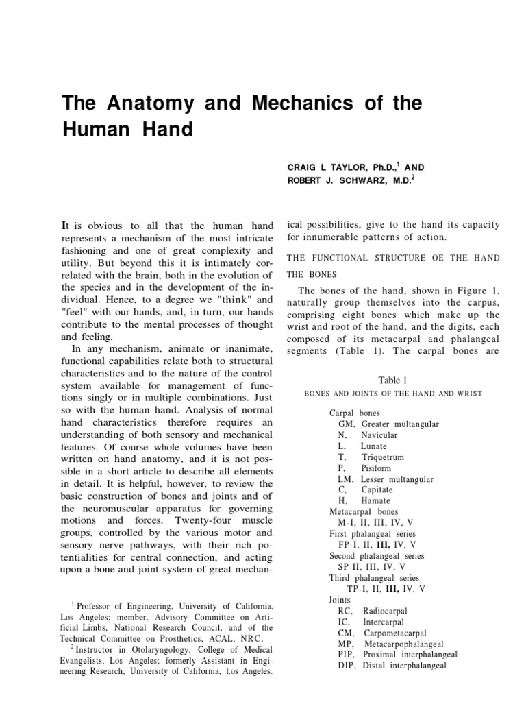 The Anatomy and Mechanics of the Human Hand | PDF | Thumb | Hand