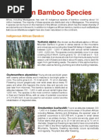 Lab Report - Mouse Genetics (One Trait) | PDF | Genotype | Genetics