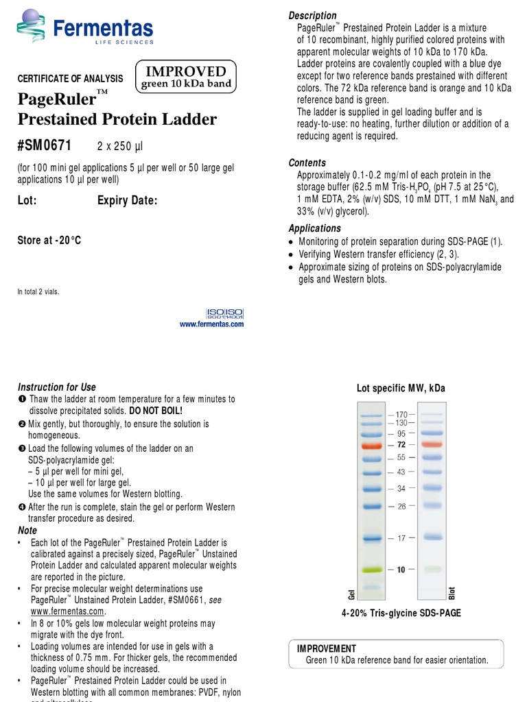 Fermentas Coa Sm0671 | PDF | Western Blot | Gel Electrophoresis