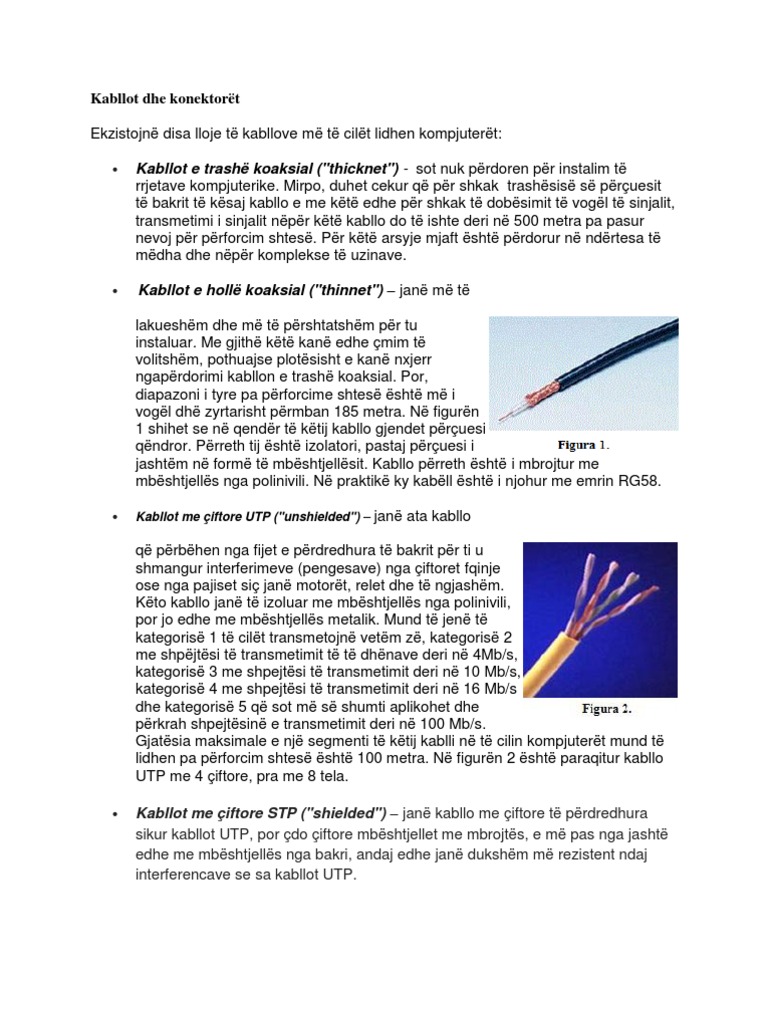 Fizika | PDF