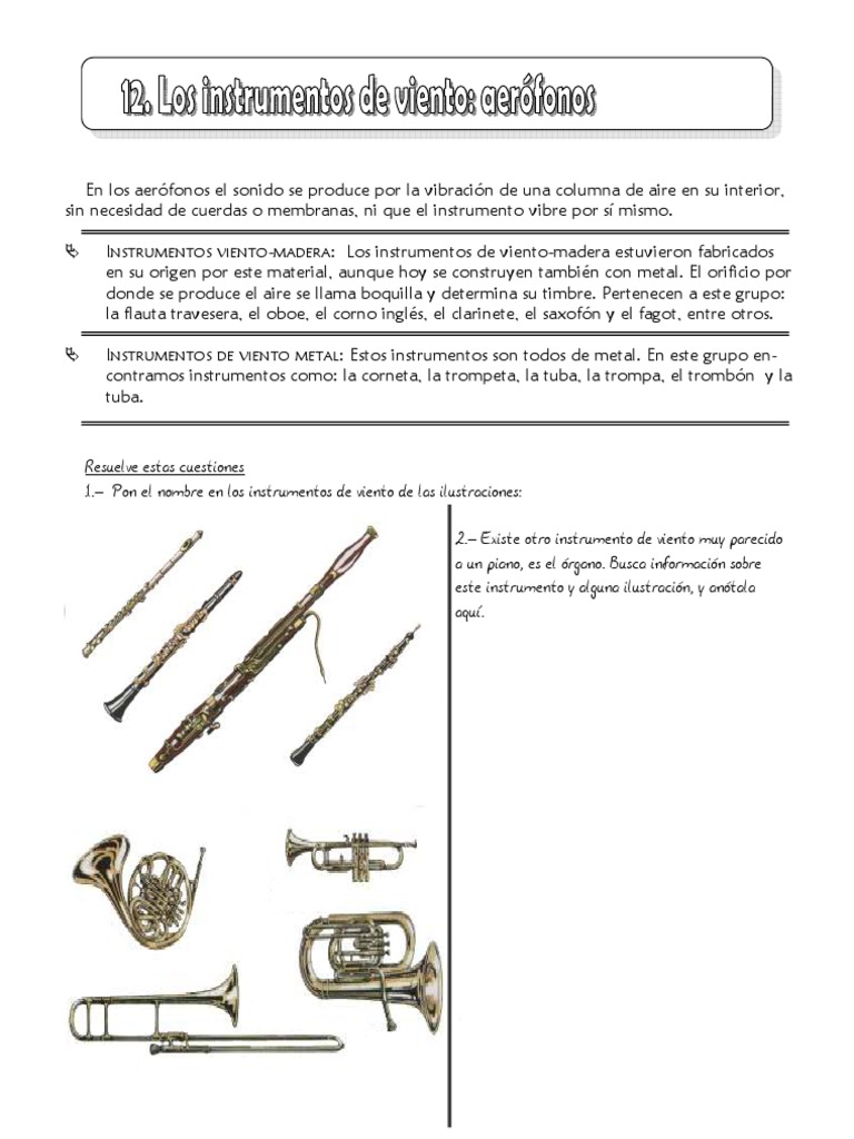 MUSsec - Teoria12 (Los Instrumentos de Viento-Aerófonos) | PDF | Arte