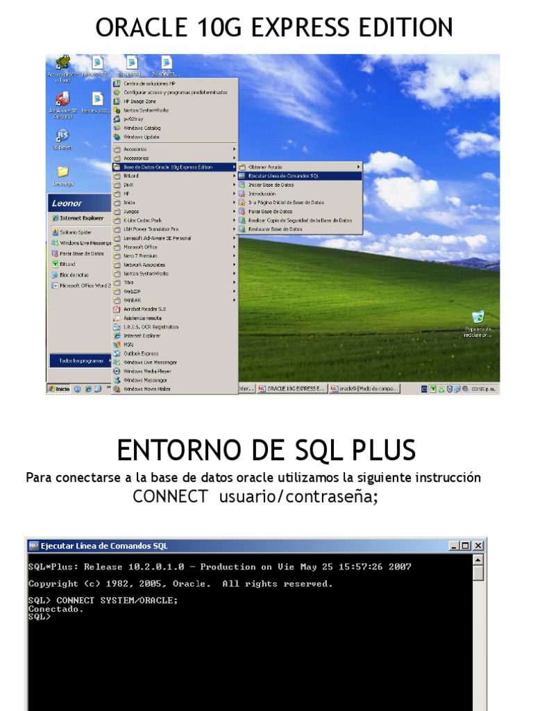 Oracle 10G Express Edition | PDF | Contraseña | Gestión de datos