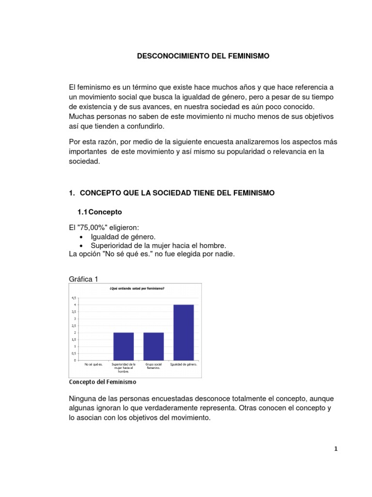 Informe Interpretativo | PDF | Feminismo | Estudios de género