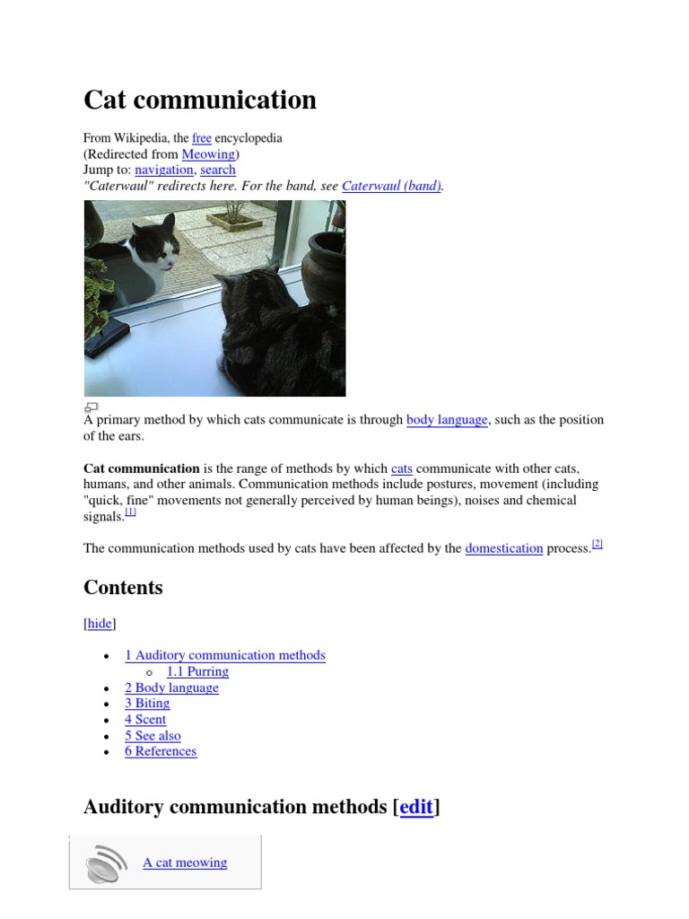 Cat Communication: Meowing Navigation Search | PDF | Cats | Felids