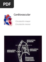 Netter Corazon | PDF | Ventrículo (corazón) | Corazón