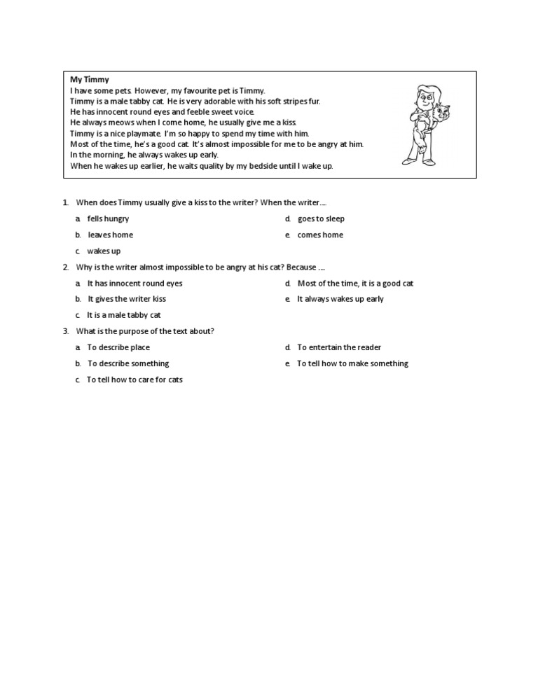 Descriptive Text About My Cat Timmy | PDF