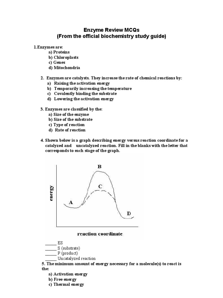 Enzyme Review Mcqs (From The Official Biochemistry Study Guide) | PDF ...