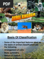 Kingdom Animalia - Phylum Summary Table | PDF | Gill | Zoology