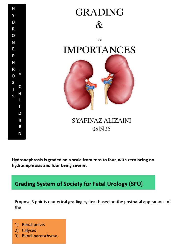 Grading of Hydronephrosis | Kidney | Pelvis