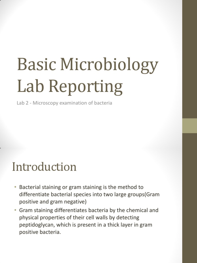 Basic Microbiology Lab Reporting Gram Staining | Download Free PDF ...