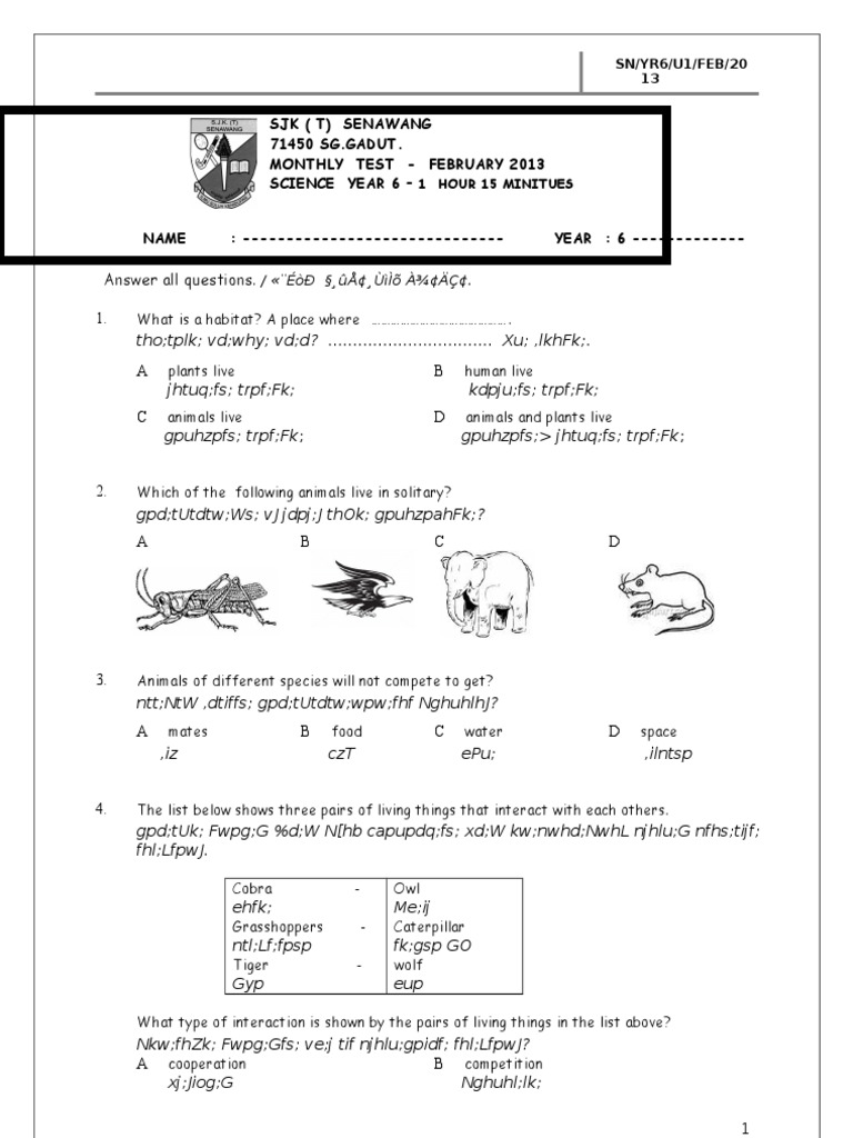 Sains Year 6 Feb 2013 | PDF | Ecology | Natural Environment