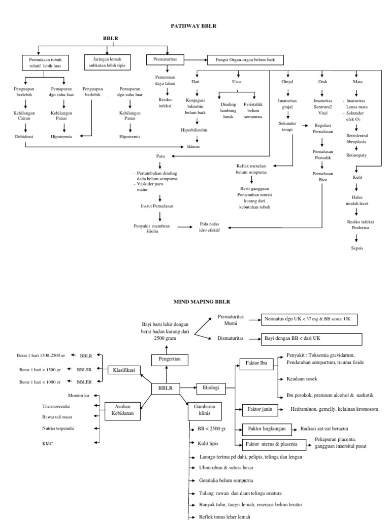 Pathway BBLR pada Bayi Prematur | PDF