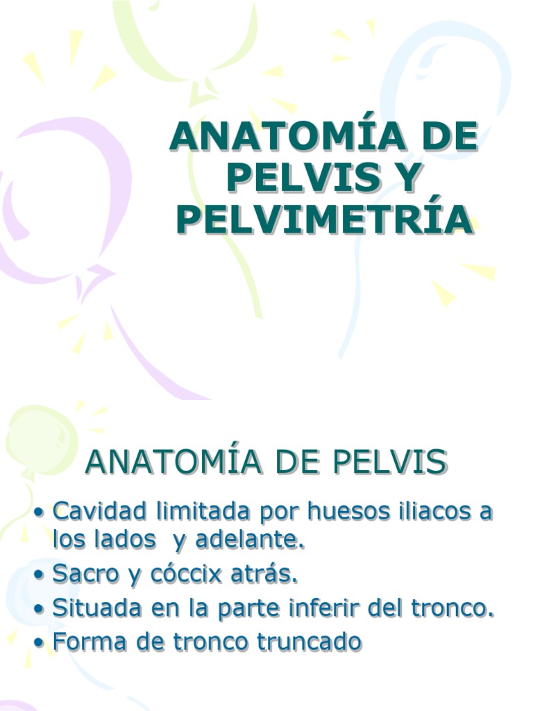 Anatomia De Pelvis Y Pelvimetria Pdf Pelvis Anatomía Humana