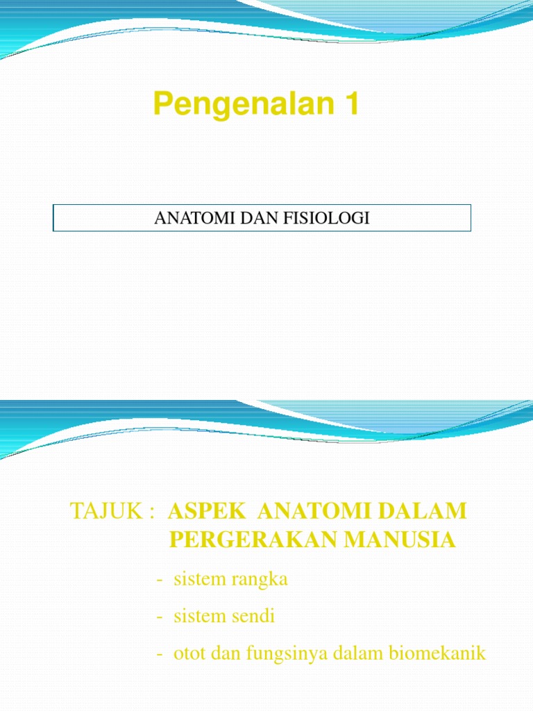 Anotomi Fisiologi | PDF