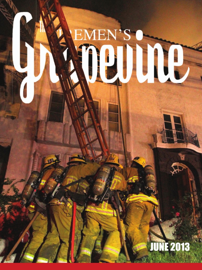 June 2013 | PDF | Health Policy | Detective