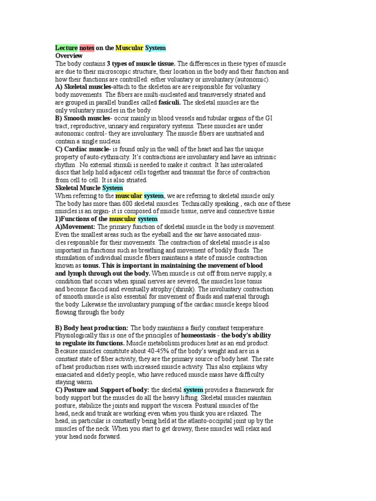 Lecture Notes On The Muscular System | PDF | Bone | Muscle Contraction