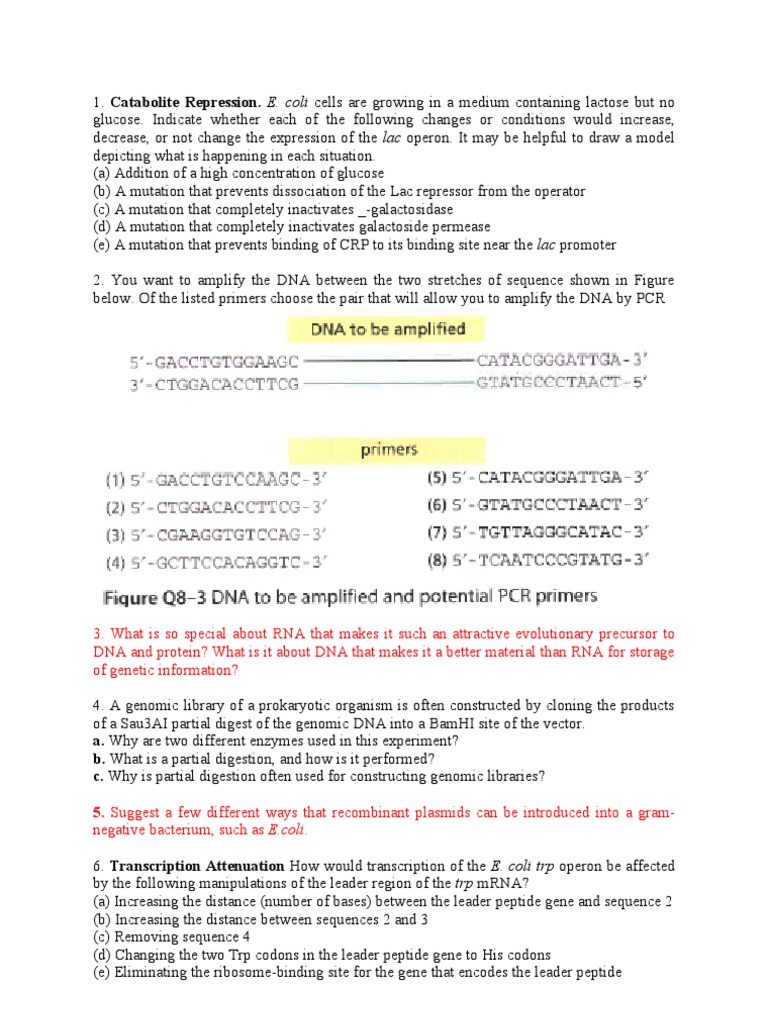 Biotechnology Quiz | PDF | Molecular Cloning | Gene