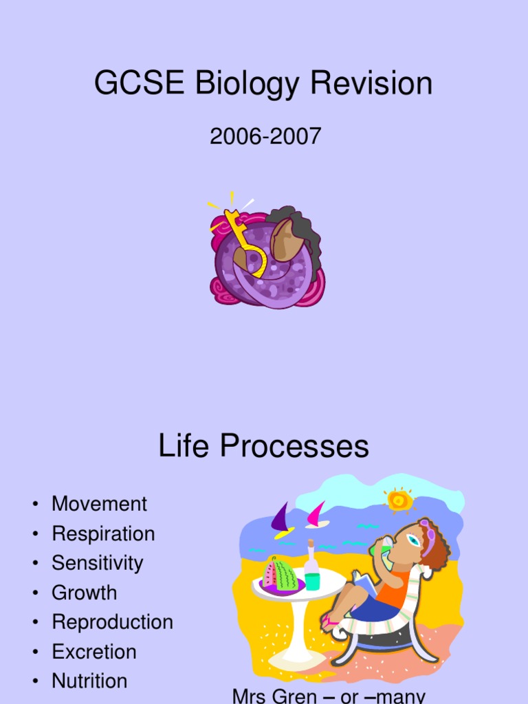 Gcse Biology Revision | PDF | Breathing | Photosynthesis