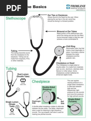 Stethoscope Diagram