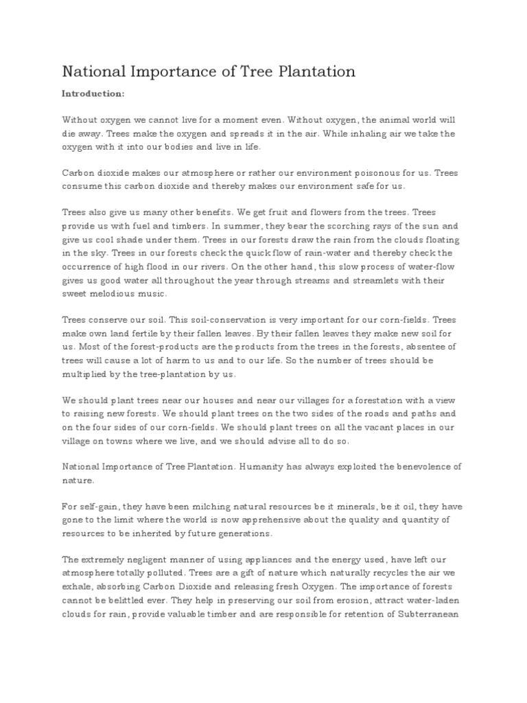 Importance of Tree Plantation | Plantation | Trees