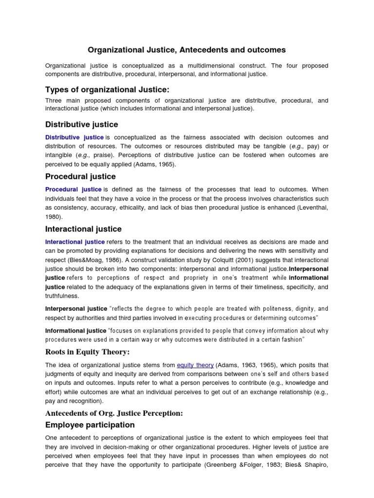 Organizational Justice | PDF | Ethical Principles | Social Psychology