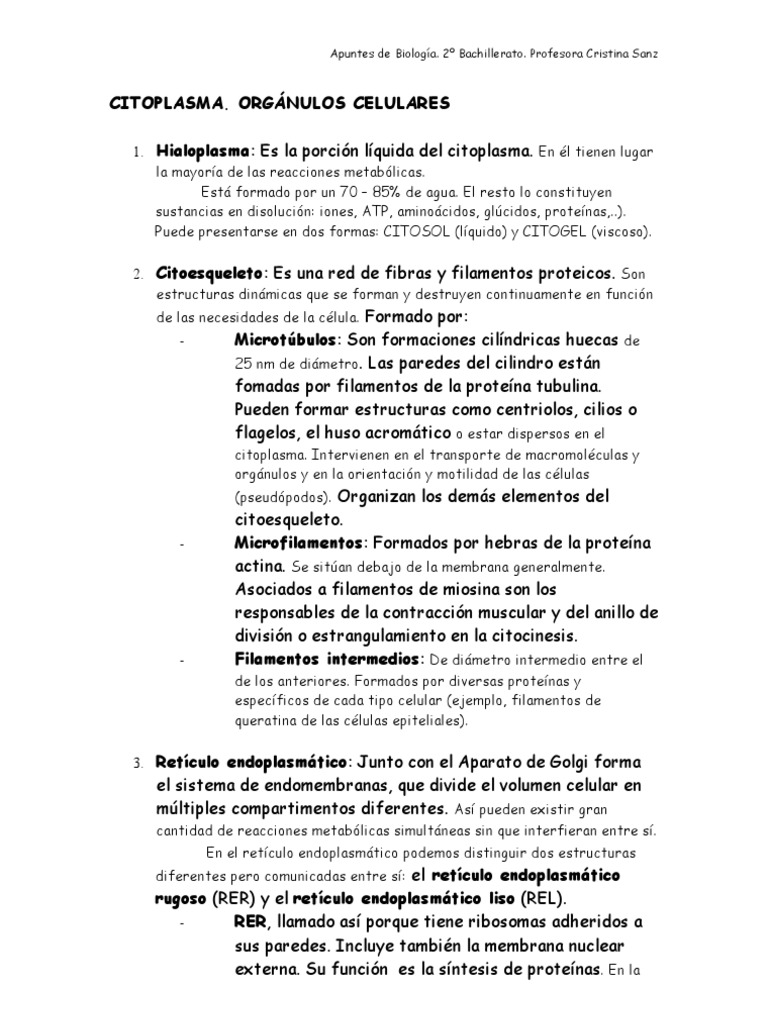Apuntes Orgánulos Celulares Pdf Retículo Endoplásmico Cloroplasto