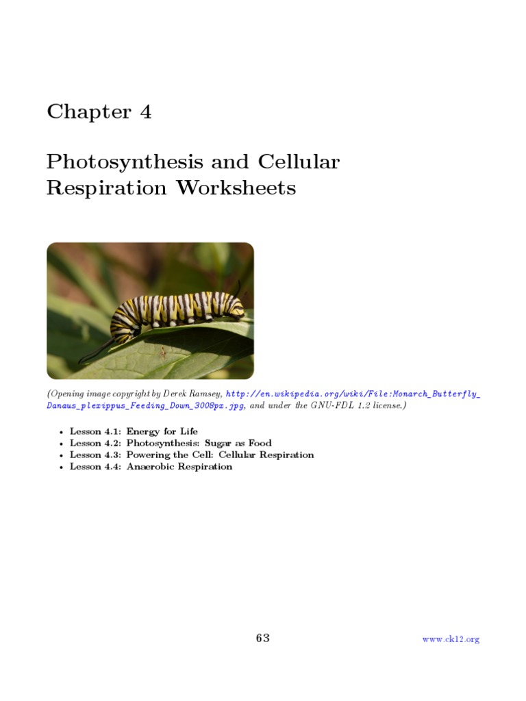 CK 12+Biology+Chapter+4+Worksheets | PDF | Cellular Respiration ...