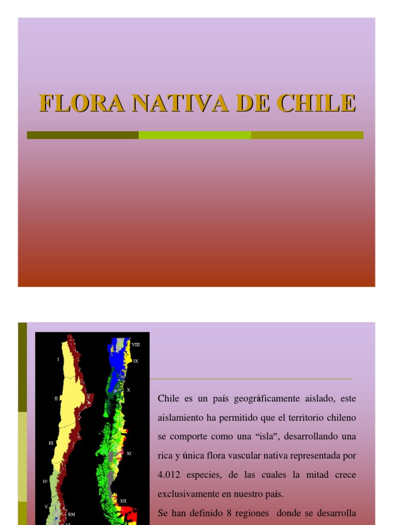 Flora Nativa de Chile: Especies y Clasificación | PDF | Hoja | Arboles